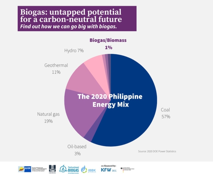 Biogas in the Philippines